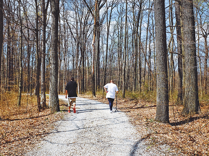 Winter's bare branches frame this gravel path where hikers enjoy the forest's quieter season&mdash;nature's version of "closed for renovations."