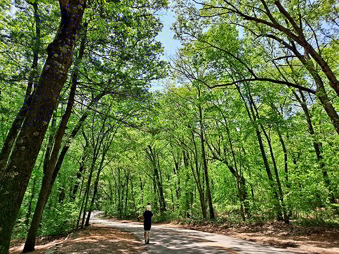 Walking paths that whisper "just five more minutes" as you stroll beneath a cathedral of leaves. Vitamin Tree is the best medicine.