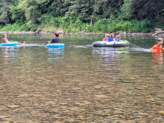 Summer days spent floating downstream – because inner tubes are basically the minivans of water recreation.