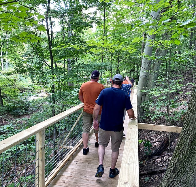 Two nature enthusiasts exploring the elevated woodland walkway. Sometimes the best conversations happen when you're surrounded by nothing but trees and possibilities.