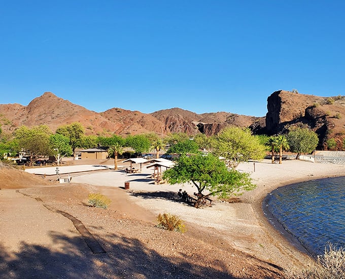 The desert's version of a five-star resort: pristine sand, mountain views, and palm trees swaying as if they're dancing to their own private soundtrack.