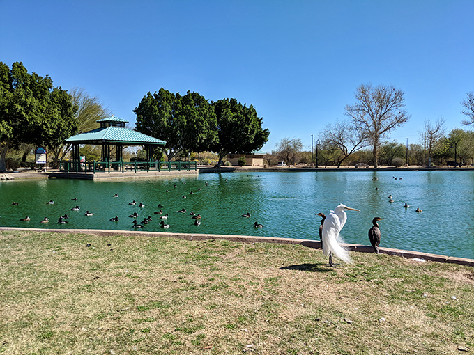 Nature's waterfront property! West Wetlands Park offers a peaceful retreat where even the birds seem to be practicing retirement-level relaxation.