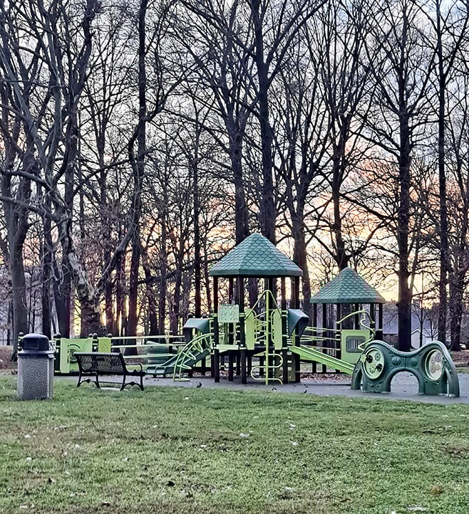 Winter-bare trees frame this charming playground, waiting patiently for spring when children's laughter will once again provide its soundtrack.