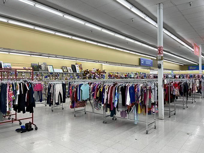 The clothing department resembles a textile library, meticulously organized by type and size. Finding that perfect piece feels like winning a small lottery.