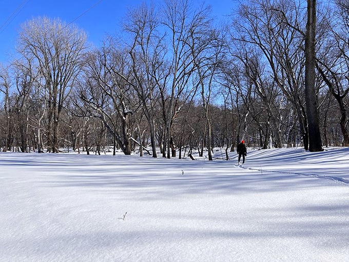Winter transforms Fort Snelling into a cross-country skiing paradise. The pristine snow creates trails so serene you'll forget you're minutes from downtown. 