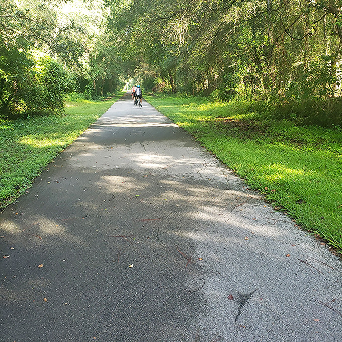 Nature's air conditioning system at work&mdash;the Withlacoochee State Trail offers shaded pathways where cyclists can escape Florida's enthusiasm for sunshine.