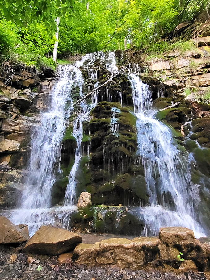 Mother Nature showing off again! Wolf Creek Falls cascades through lush greenery, creating a serene soundtrack that no meditation app could ever replicate.
