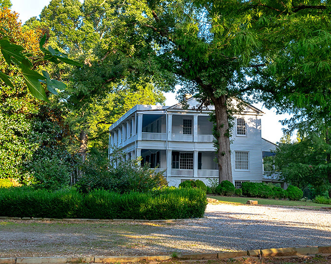 Woodburn Historic House stands elegantly among ancient oaks, a white-columned testament to the complex tapestry of Southern history.