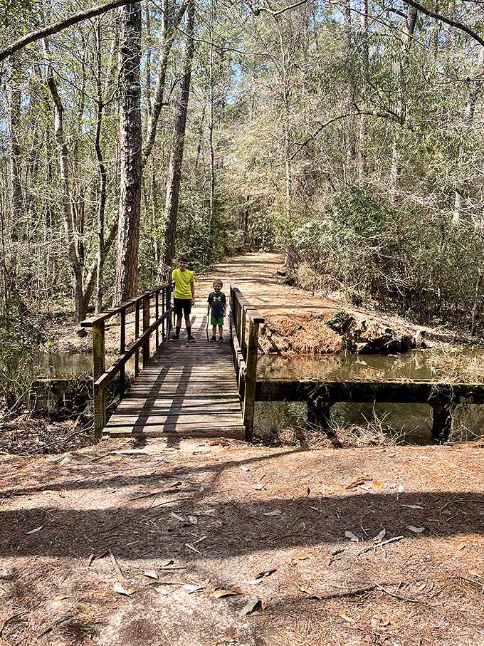 Crossing into serenity. This rustic footbridge doesn't just connect trails&mdash;it bridges the gap between your stressed self and peaceful possibilities.