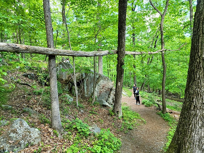 The forest practically whispers "adventure this way" along trails that meander through Rocks State Park's 855 acres of geological wonders.