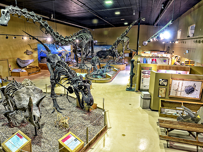 Inside the Wyoming Dinosaur Center, where these ancient residents have lower overhead costs than most retirees.