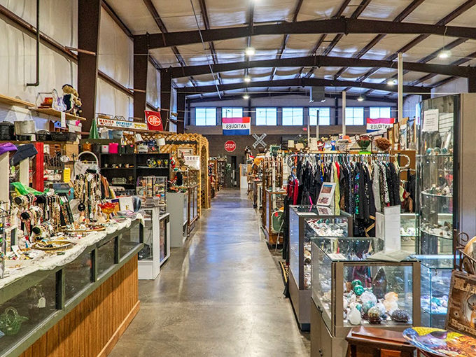 A collector's dream where organized chaos meets retail therapy. One person's "too much stuff" is another's "not enough space in my car."