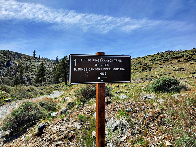 Trail markers: where wilderness meets civilization. Without these helpful signs, you'd be telling stories about that "unexpected overnight camping adventure."