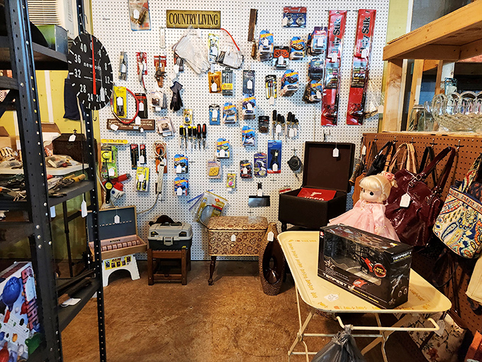 A pegboard paradise where that one tool you've been searching for since 1987 is definitely hiding somewhere.