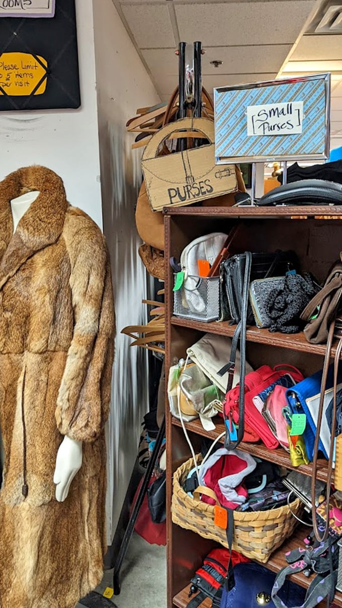 That fur coat has seen more adventures than most of us. Now it waits patiently beside a rainbow of handbags for its next chapter.