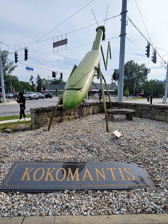 KokoMantis surveys its domain from a bed of river rocks, the ultimate low-maintenance garden celebrity.