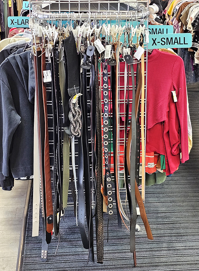 Belt bonanza! From classic leather to statement pieces that say, "Yes, I did coordinate my entire outfit around this accessory."