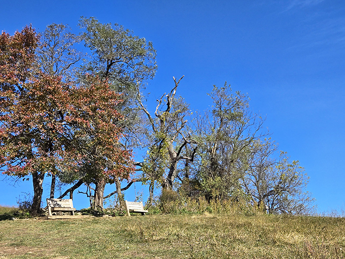 This bench knows something you don't &ndash; that sitting still can be the greatest adventure of all.