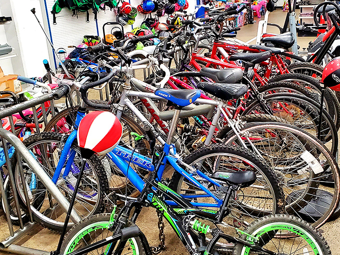 Bicycle heaven for wheel enthusiasts! From kid-sized cruisers to adult mountain bikes, your next two-wheeled adventure awaits.
