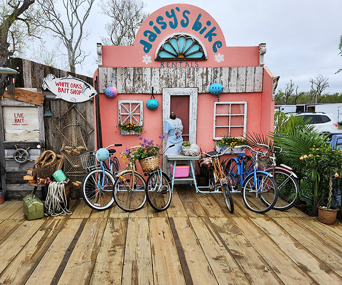 Daisy's Bike Rentals isn't just a vendor booth&mdash;it's a perfectly staged slice of coastal nostalgia that somehow landed in the Nebraska countryside.