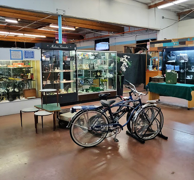 Vintage Schwinn bicycles stand ready for their second act. These aren't just bikes&mdash;they're time machines waiting to transport you back to simpler days of neighborhood adventures.