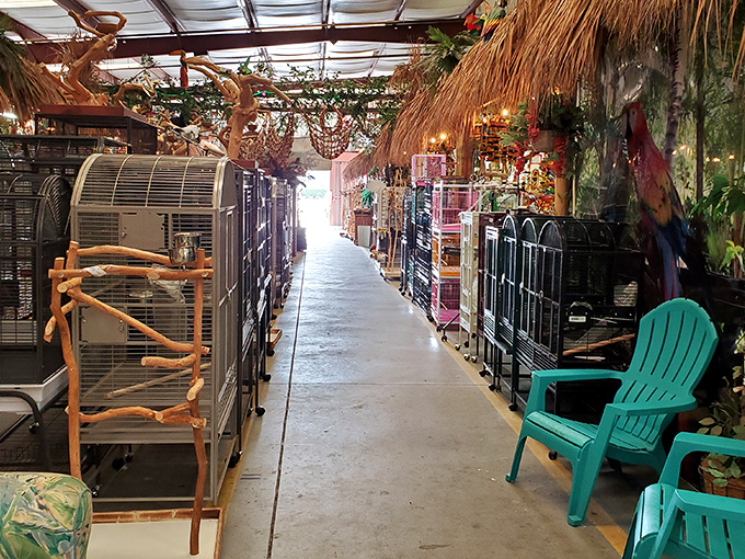 Tiki-inspired decor transforms this pet supply aisle into a tropical getaway. Even the birdcages seem to whisper, "Welcome to paradise."