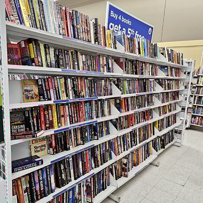 Literary gold mine! Thousands of stories waiting to be discovered, from bestselling thrillers to forgotten classics, all priced less than your morning latte.