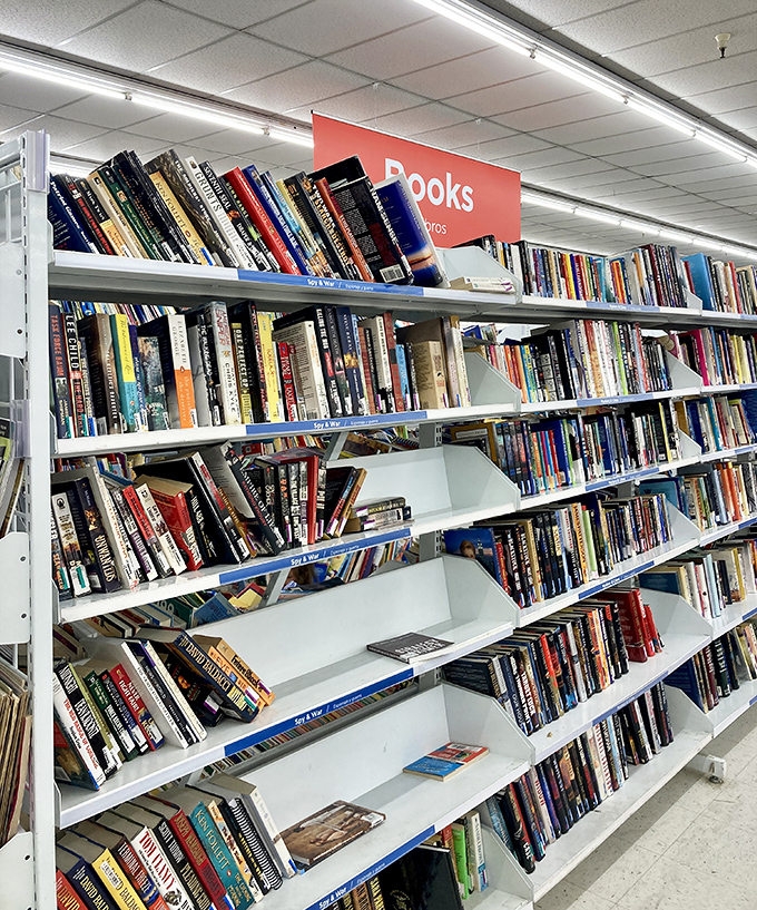 Books upon books upon books&mdash;literary worlds stacked high, waiting for new readers. That dog-eared copy of "The Great Gatsby" might have notes from its previous intellectual companion.