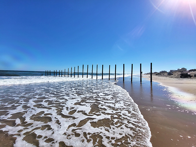 Where ocean meets shoreline in a timeless dance. These weathered sentinels stand like forgotten chess pieces on nature's grand board.