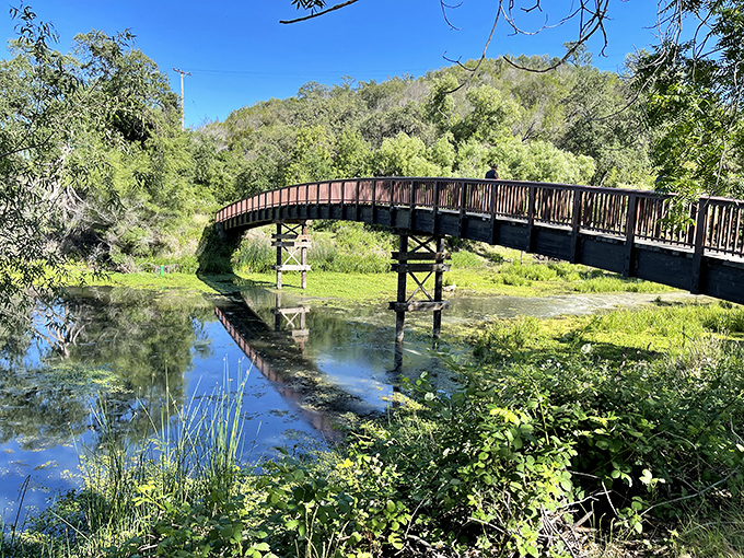 This curved wooden bridge isn't just crossing water – it's connecting you to the quieter, more peaceful version of yourself.