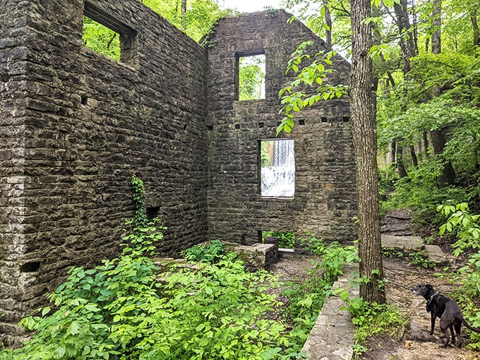 Stone ruins whisper stories of the past while framing the waterfall view &ndash; nature's way of creating the perfect picture window.
