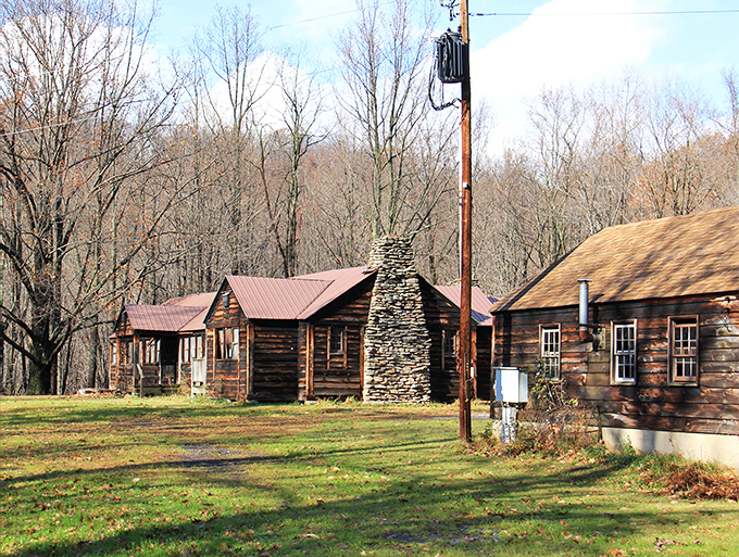 Rustic cabins that make you want to write a novel or at least pretend you could. These woodland retreats offer comfort without making you completely abandon civilization.