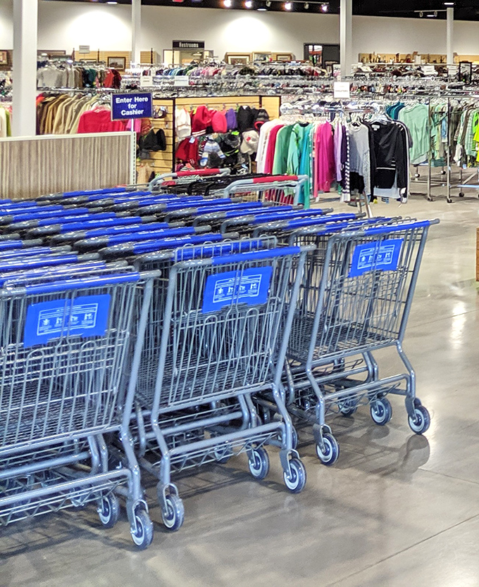 Shopping carts stand at attention, ready for their mission. Like loyal steeds before battle, they await the charge into bargain territory.