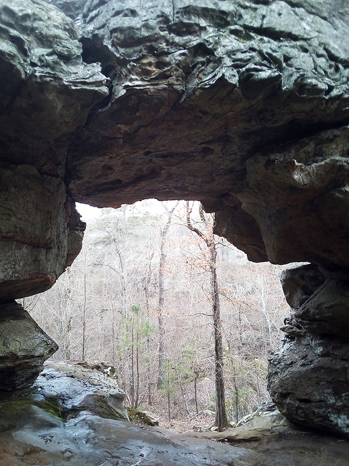 Rock House Cave proves nature was building architectural marvels long before HGTV made it cool.