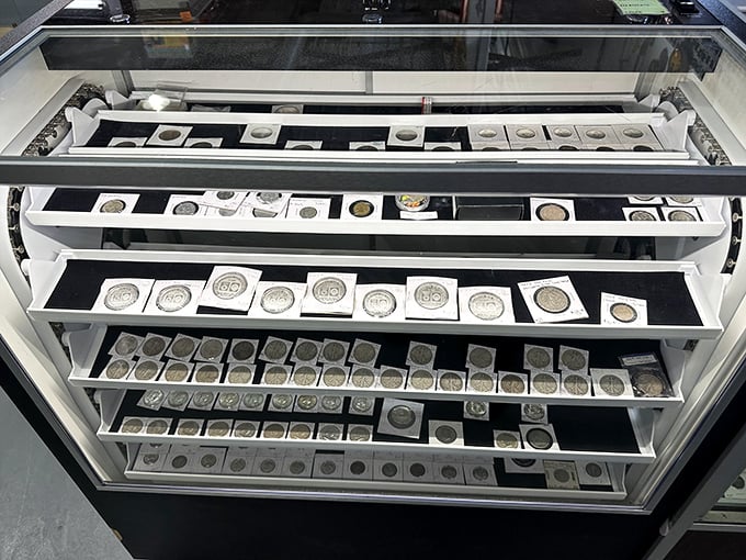 Numismatist heaven! These aren't just coins&mdash;they're tiny metal time machines, each with its own story of pockets, purses, and purchases long forgotten.