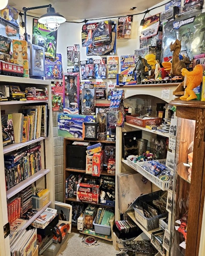 Star Wars figures and DC Comics collectibles crowd every surface&mdash;somewhere, your inner child is already reaching for a wallet.