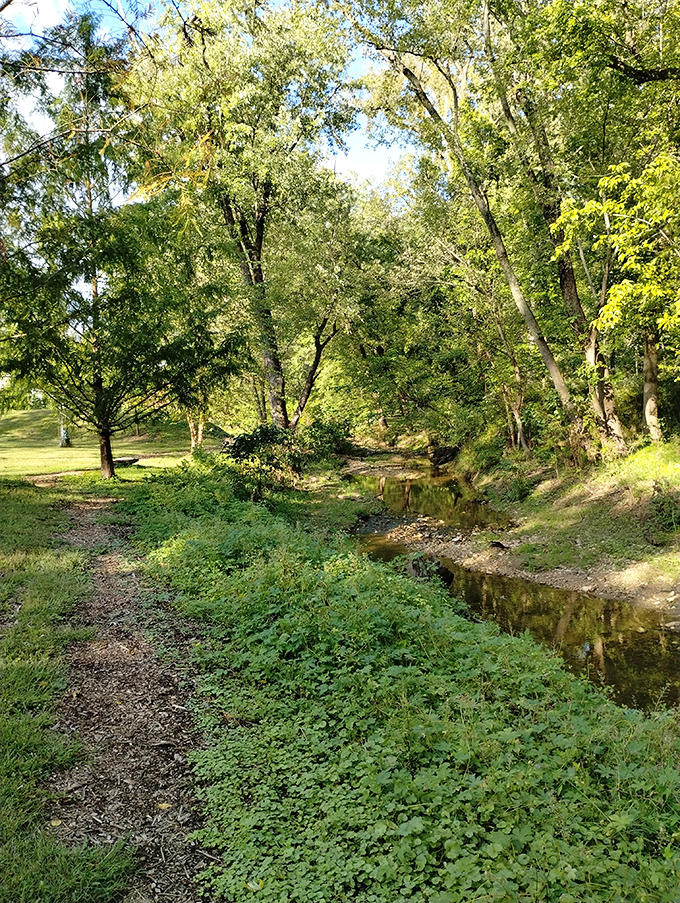 A gentle creek meanders through town, whispering stories of simpler days. Nature's version of a meditation app, minus the subscription fee. 
