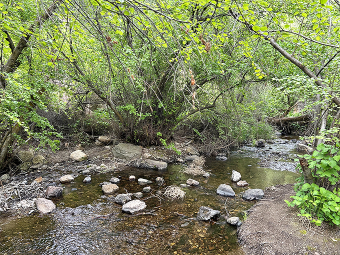 Crystal clear waters meander through the canyon floor, creating peaceful pools perfect for a refreshing dip on hot summer days.
