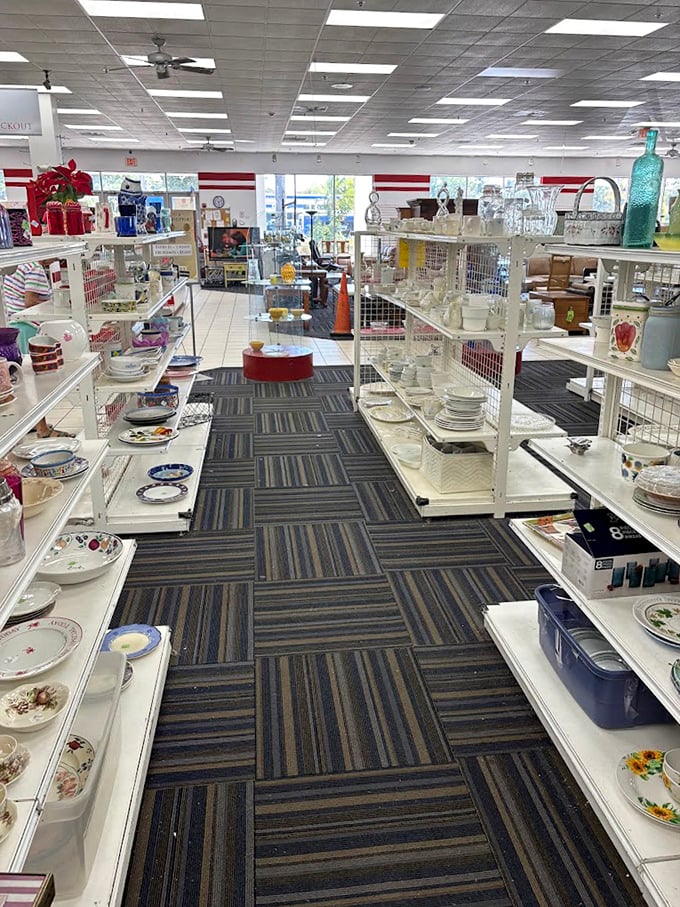 Dish paradise! Rows of plates, bowls, and glassware stand ready for their second act in someone's dinner party spotlight.