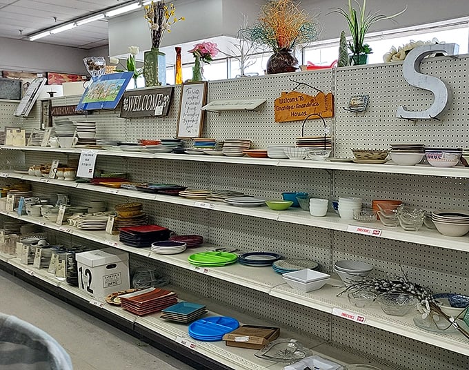 Dish-covery zone! Every plate tells a story, and these shelves are chapters in a cookbook waiting to happen.