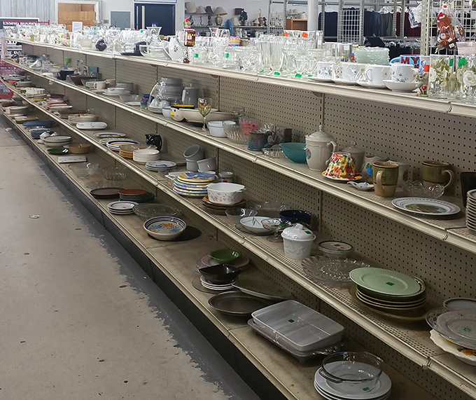 Rows of dishes and glassware stand at attention, ready to host everything from Tuesday night leftovers to Sunday's finest dinner parties.