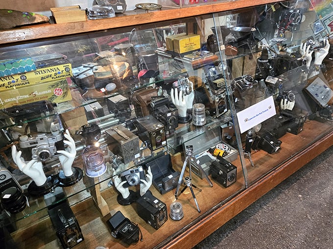 A glass case of mechanical eyes that captured moments long before selfies existed &ndash; vintage cameras awaiting their next adventure.