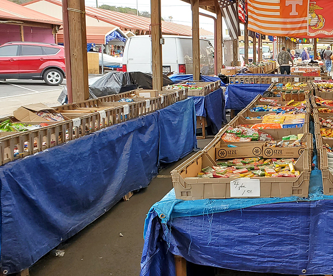 Fresh produce heaven! Nothing says "authentic local experience" like haggling over tomatoes that were probably picked yesterday.