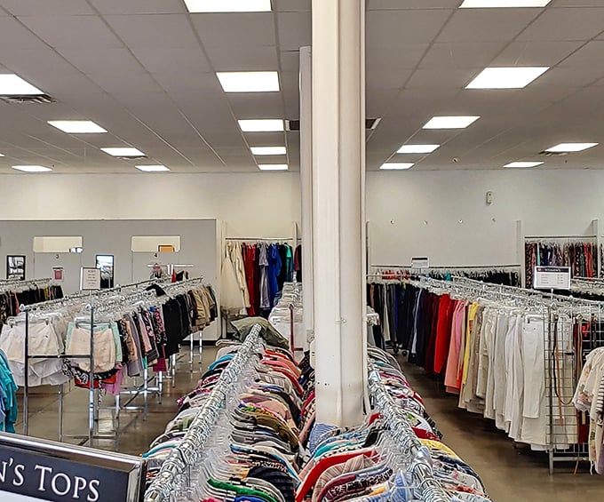 The clothing forest stretches as far as the eye can see, organized just enough to be navigable but chaotic enough to reward the patient explorer.