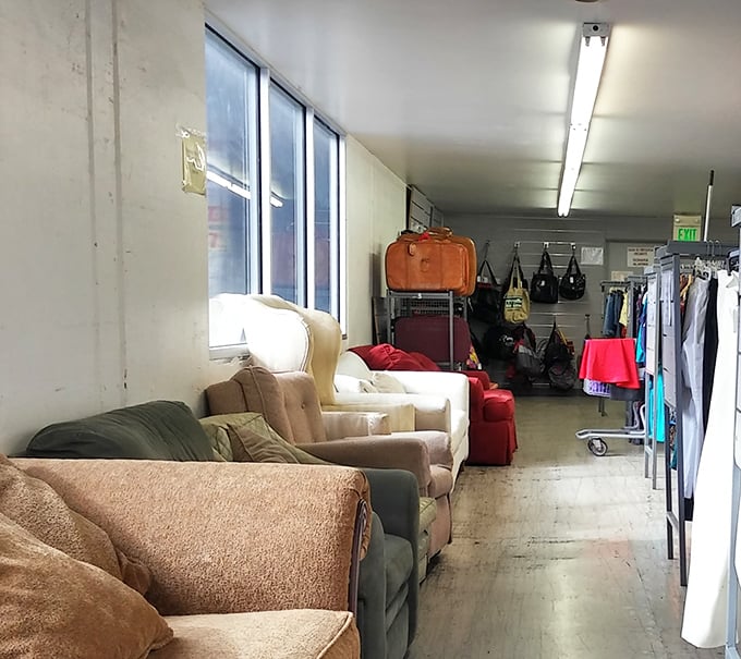 Sofa safari at its finest. Each cushioned throne carries stories from previous lives, just waiting for your chapter to begin.