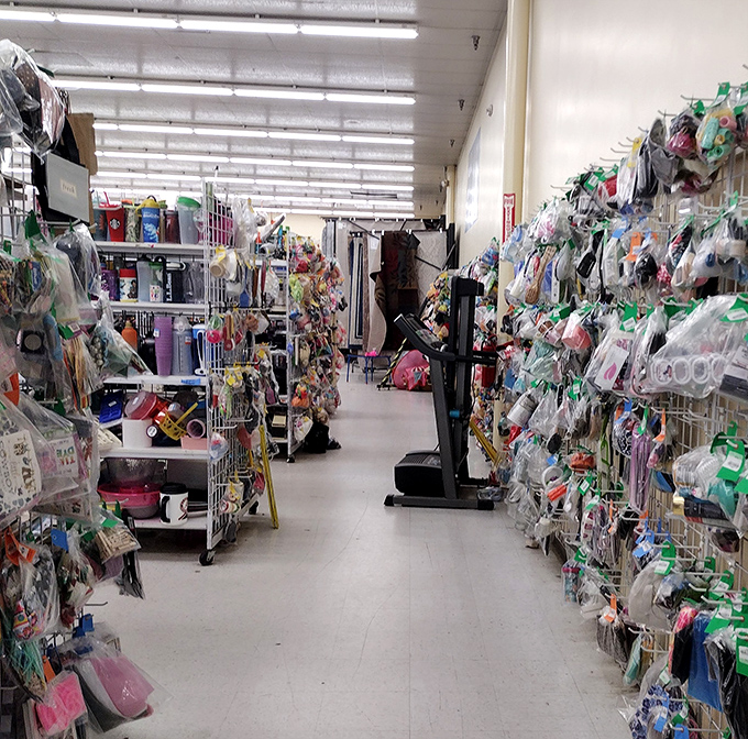 Packaged treasures line both sides of this aisle, each plastic bag containing someone's former joy waiting for its second act.
