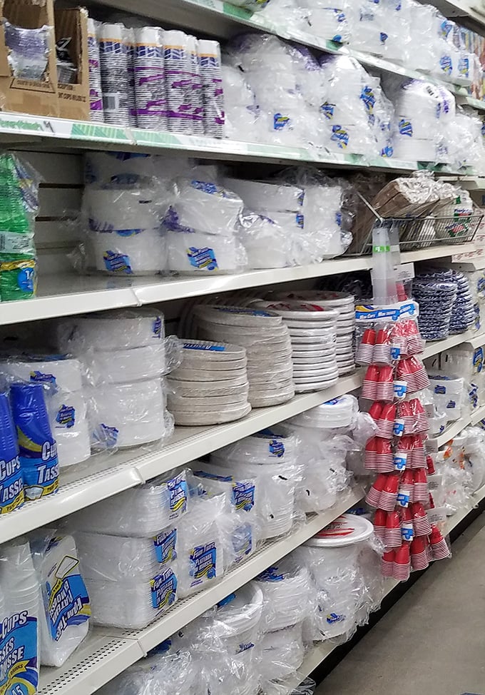Paper plate perfection! The disposable dinnerware aisle&mdash;where hosting Thanksgiving for twenty suddenly becomes financially feasible for mere mortals.