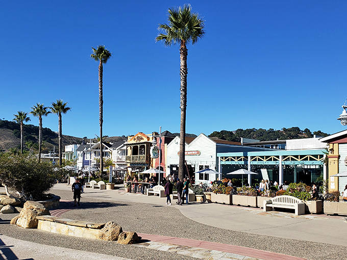 Palm trees standing guard over Front Street like nature's exclamation points. The perfect backdrop for an afternoon of boutique browsing and gelato sampling.