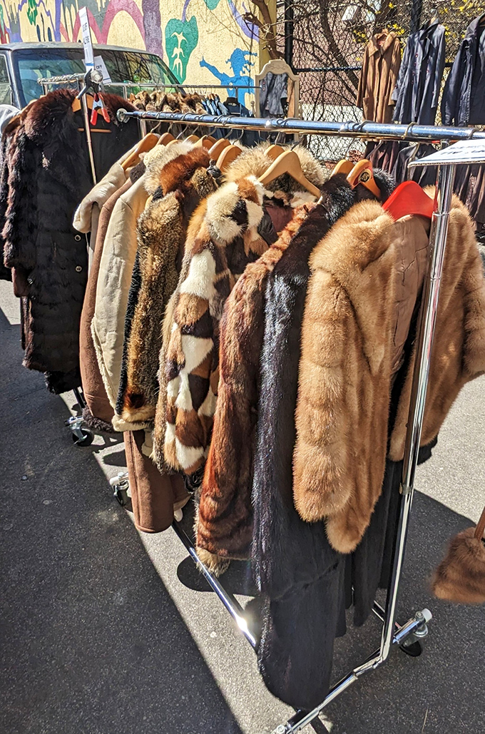 Fur coats hang like plush trophies of bygone glamour. Each one whispering tales of Manhattan cocktail parties and taxi rides through snowy streets.