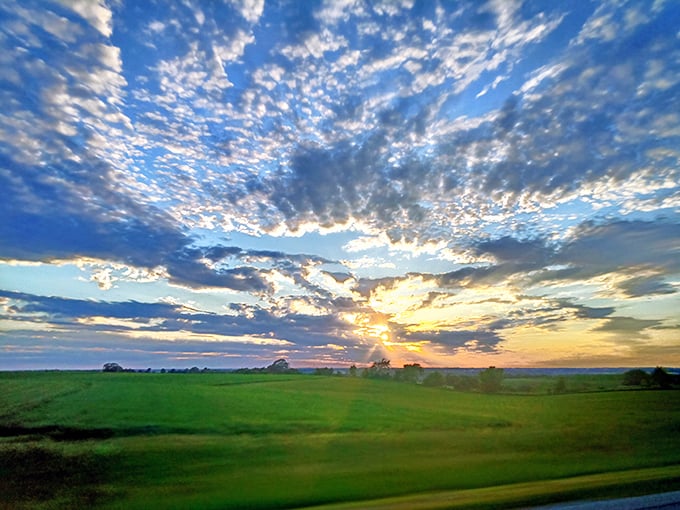 Mother Nature showing off her best work—a Minnesota sunset that transforms ordinary farmland into an extraordinary canvas of light and shadow.